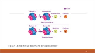 Nuclear reactor.ppt | Chemistry | Science