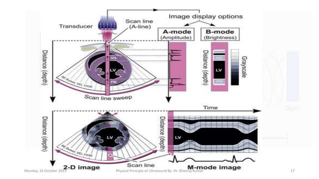 Physical Principle of Ultrasound.pptx | Digital Audio | Computer ...