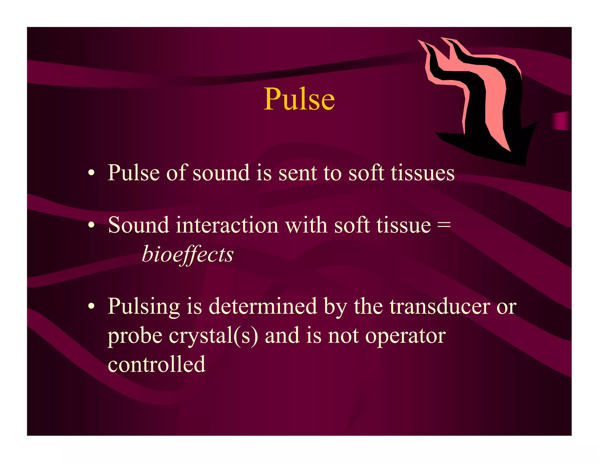 Physical Principles Of Ultrasound | PDF