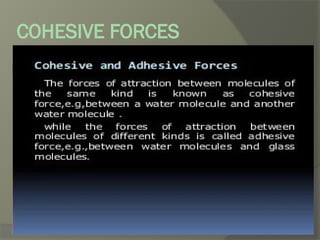 physical properties and chemical constitution.pptx