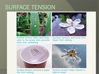 physical properties and chemical constitution.pptx