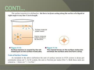 physical properties and chemical constitution.pptx