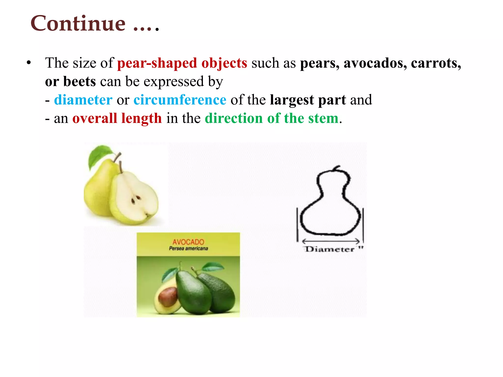 physical properties of food material.pdf