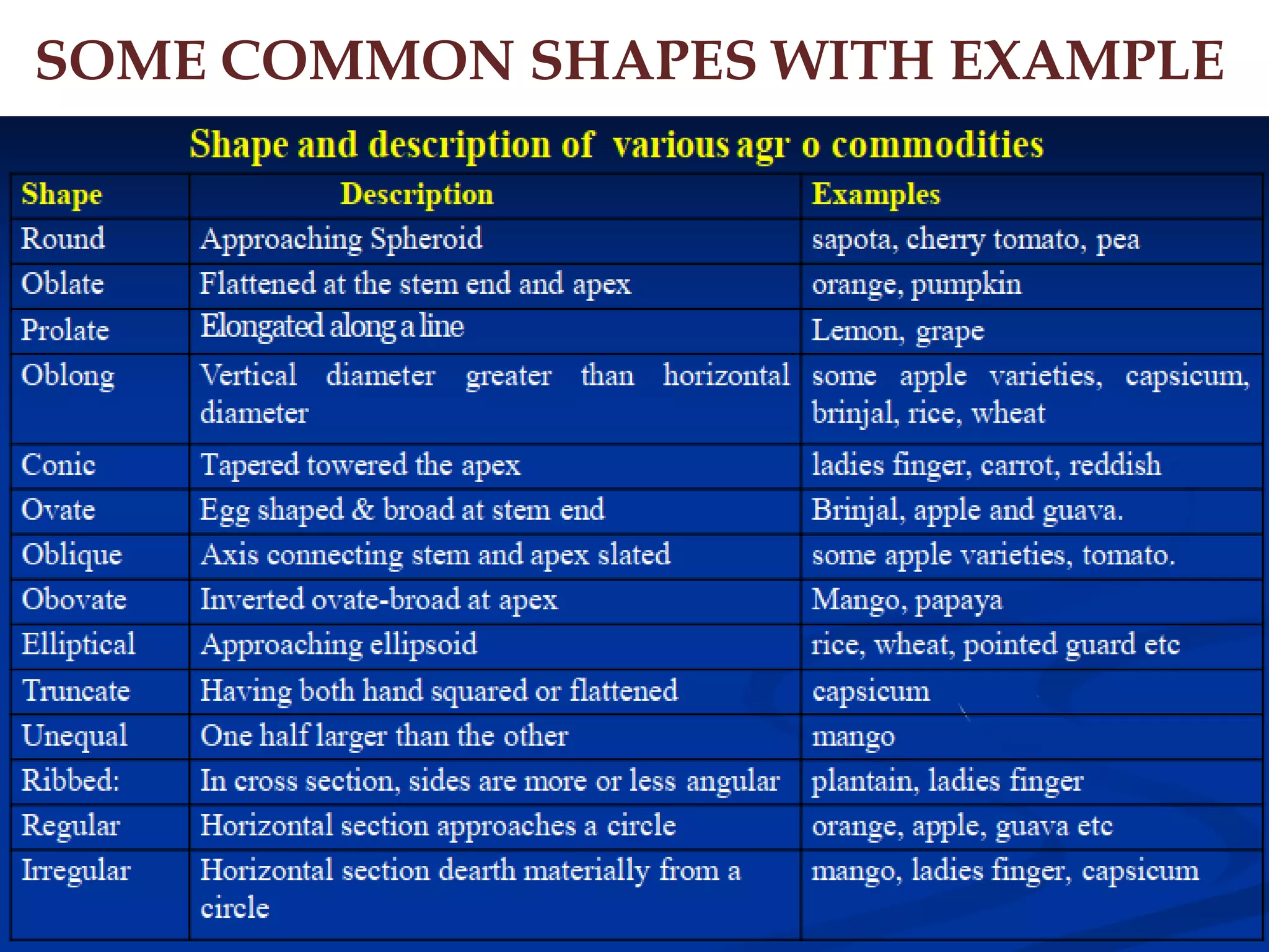 physical properties of food material.pdf