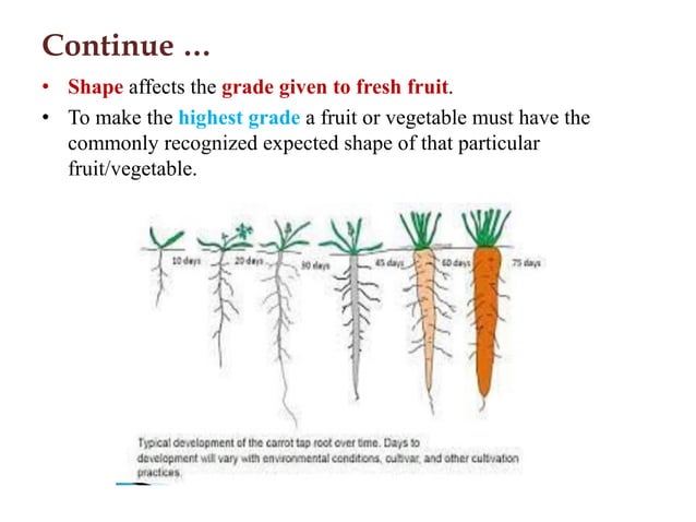 physical properties of food material.pdf | Physics | Science