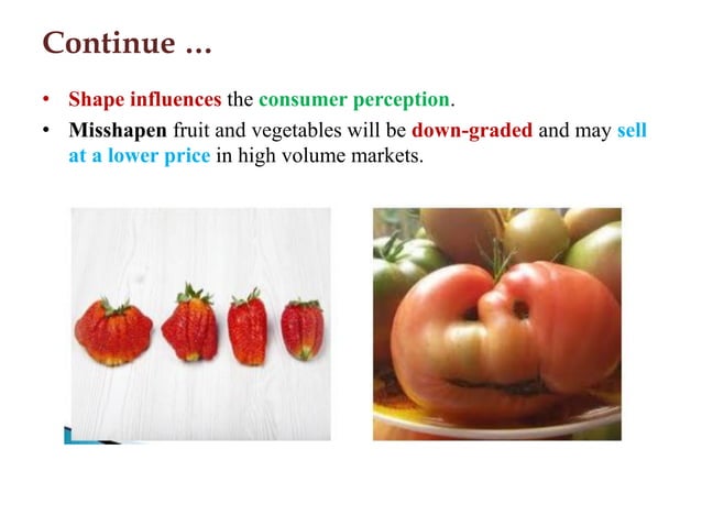 physical properties of food material.pdf | Physics | Science