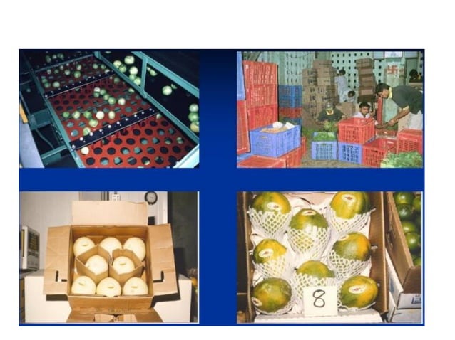 physical properties of food material.pdf | Physics | Science