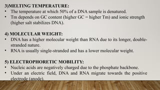 Physical properties of nucleic acids.(DNA & RNA) | PPTX