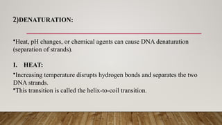 Physical properties of nucleic acids.(DNA & RNA) | PPTX