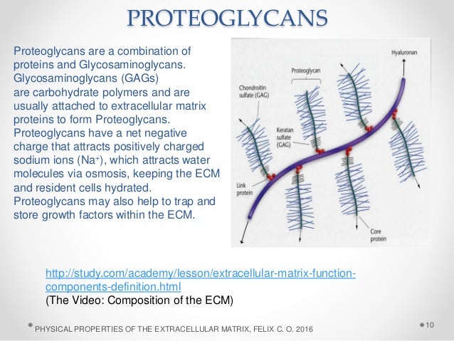 Physical properties of the extracellular matrix felix chibuzo obi 201…