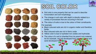 Physical properties of the soil | PPTX