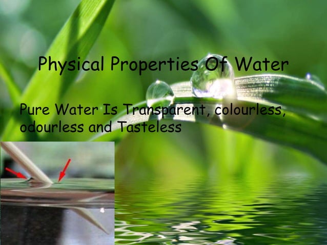 Physical properties of water | PPT