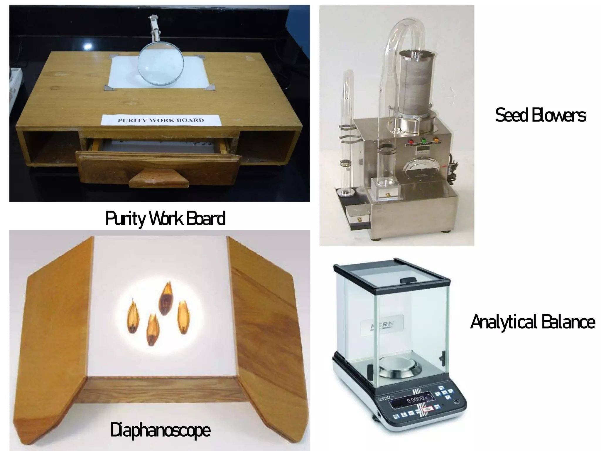 Physical Purity Testing.pdf