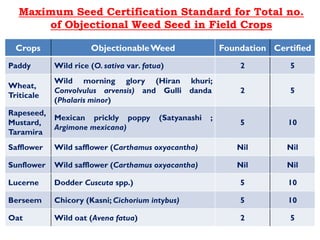 Physical Purity Testing.pdf