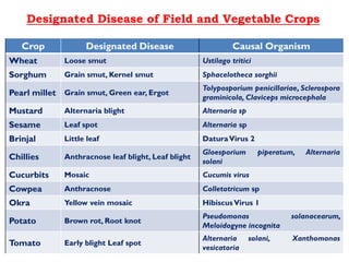 Physical Purity Testing.pdf