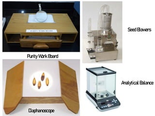 Physical Purity Testing.pdf