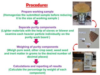 Physical Purity Testing.pdf