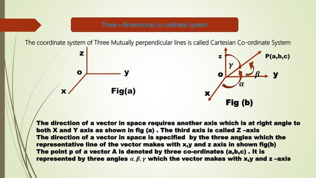Physical quantities and vector representation | PPTX | Physics | Science