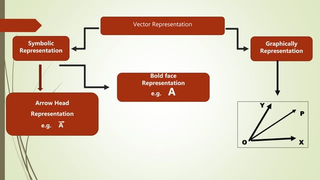 Physical quantities and vector representation | PPTX | Physics | Science