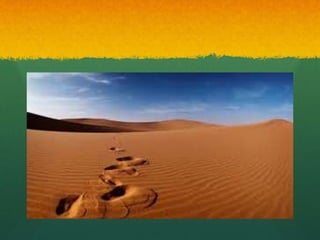 Physical Regions and Landforms | PPTX