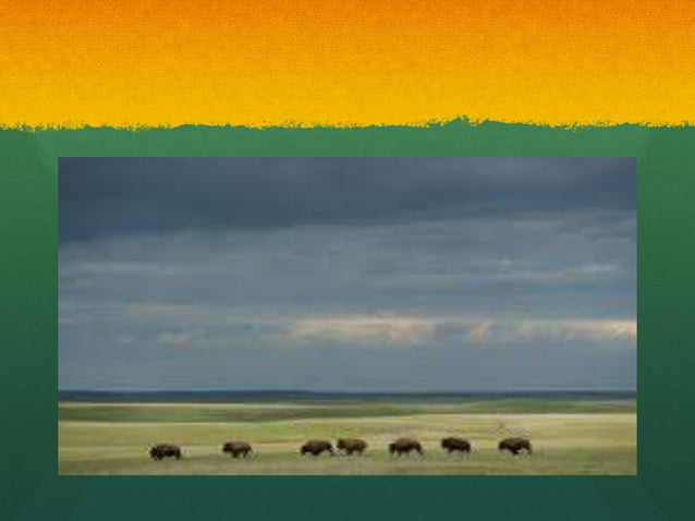 Physical Regions and Landforms | PPTX | Geography | Science