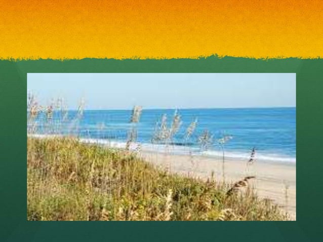 Physical Regions and Landforms | PPTX | Geography | Science