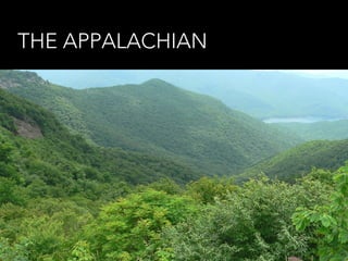 Appalachian Region Vegetation