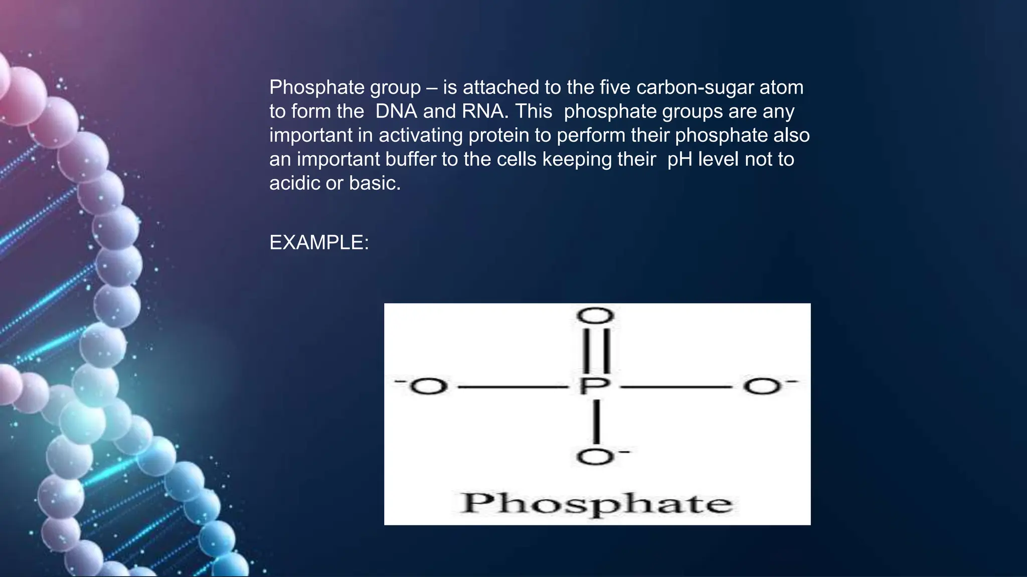 Nucleic Acid's informations , functions. | PPTX