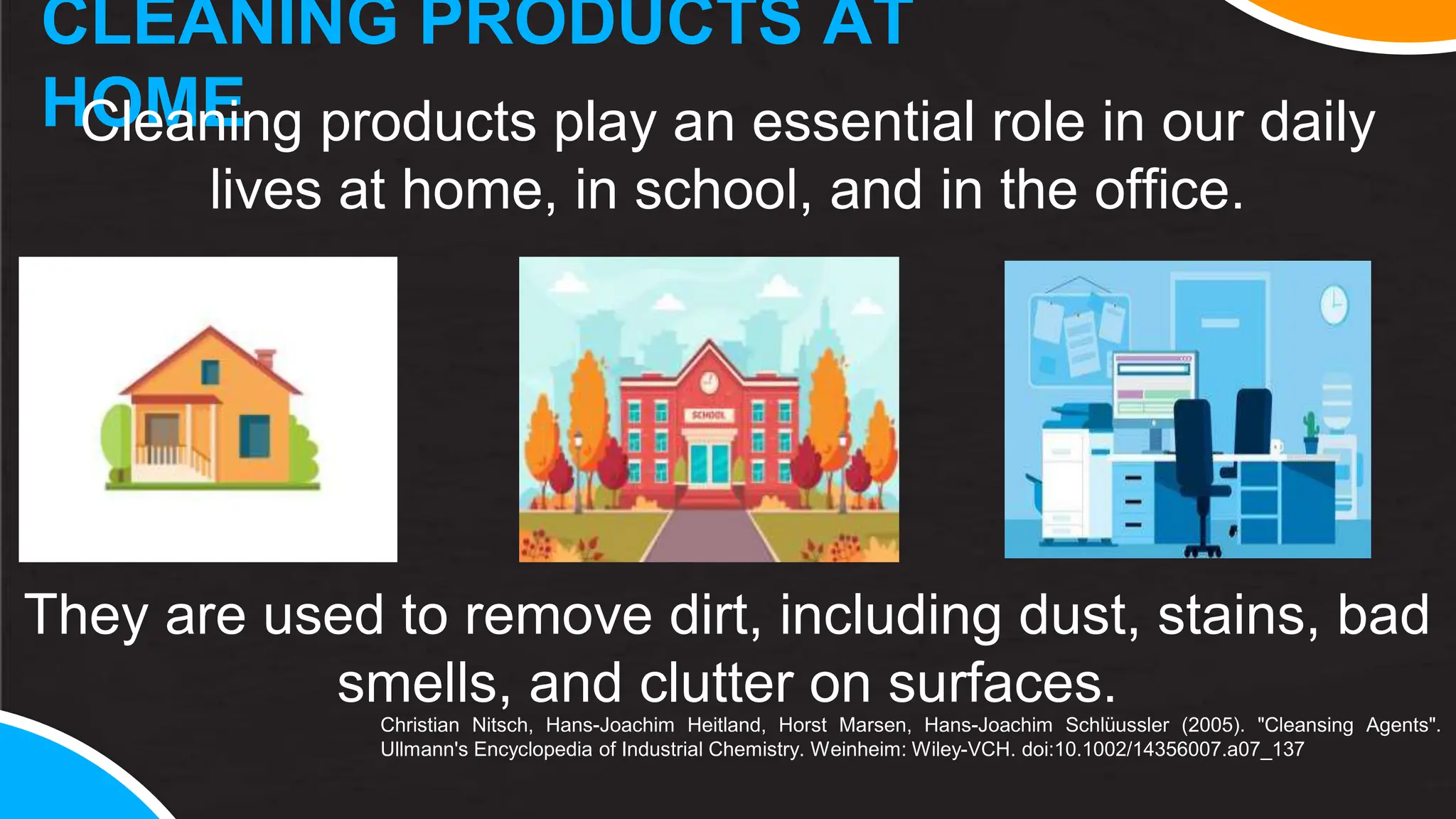 Physical Science - Active Ingredients of Household Cleaning Products.pptx
