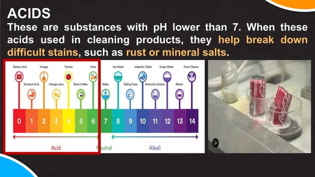 Physical Science - Active Ingredients of Household Cleaning Products.pptx