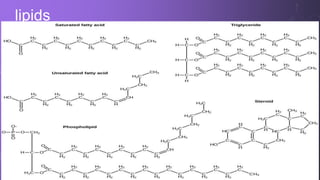 Physical Science - Biological Macromolecules.pptx