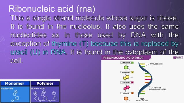 Physical Science - Biological Macromolecules.pptx | Free download