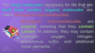 Physical Science - Biological Macromolecules.pptx
