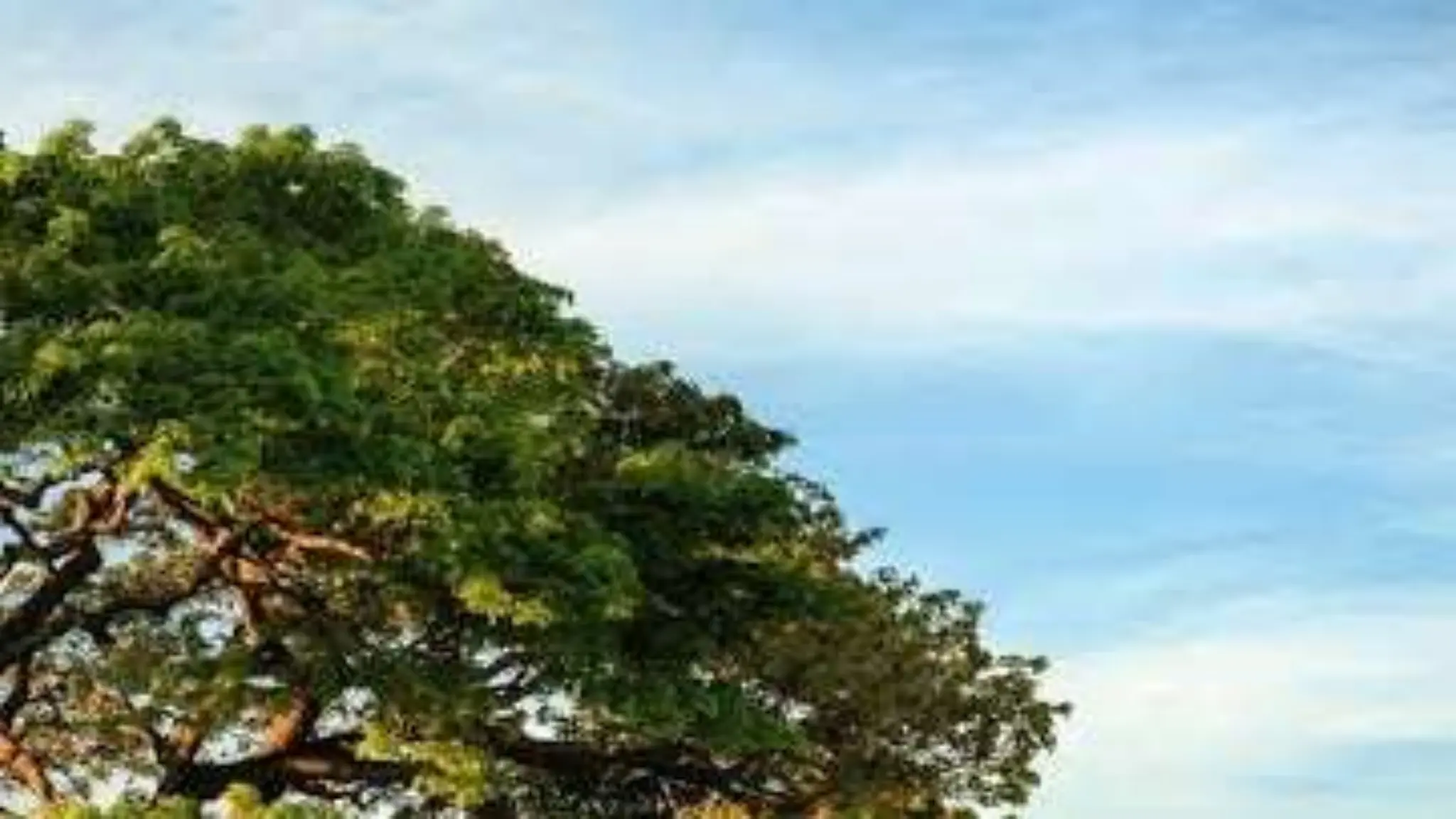 Physical Science - Formation of Heavy Elements.pptx