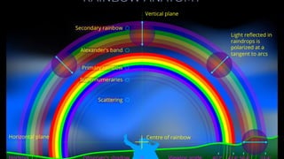 Phenomena of Light for Physical Science.pptx