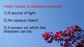 LIGHT AND SHADOWS | PPT