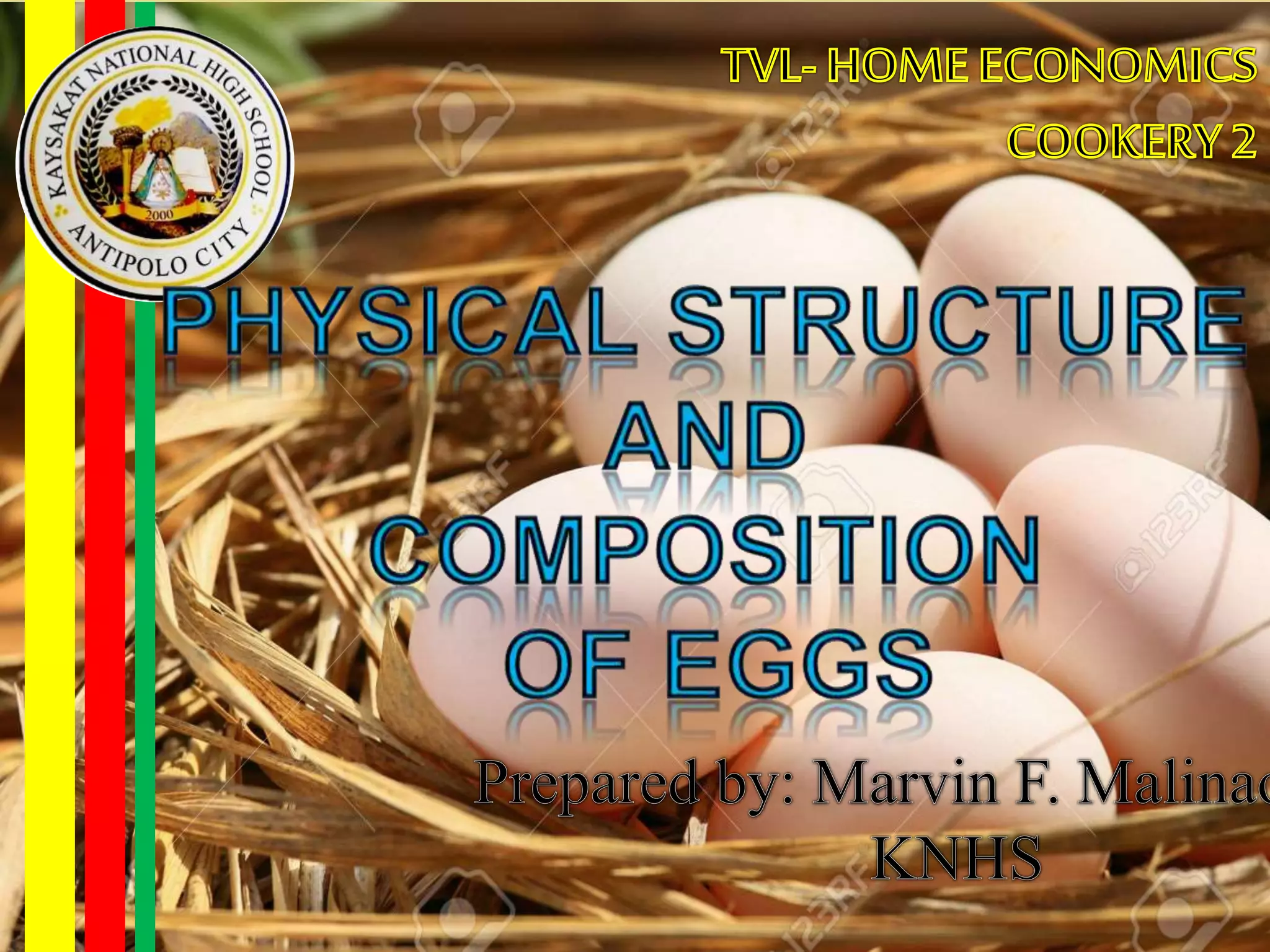 Physical structure and composition of eggs(KNHS) | PPTX