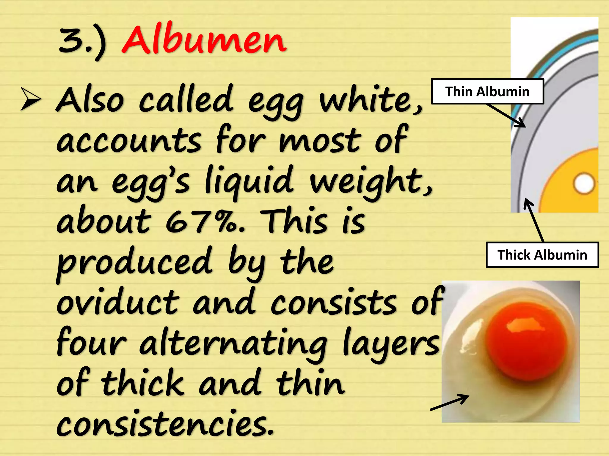 Physical structure and composition of eggs(KNHS) | PPTX