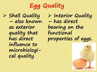 Physical structure and composition of eggs(KNHS) | PPTX