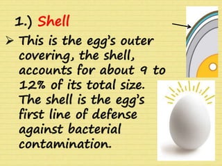 Physical structure and composition of eggs(KNHS) | PPTX