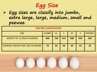 Physical structure and composition of eggs(KNHS) | PPT