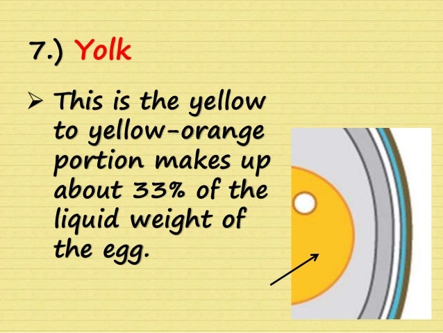 Physical Structure And Composition Of Eggs KNHS Physical Structure And Composition Of Eggs KNHS
