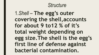PHYSICAL STRUCTURE OF EGG.pptx