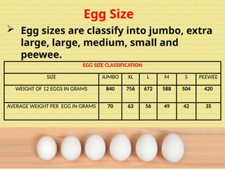 PHYSICAL STRUCTURE OF EGG TLE 1010.pptx