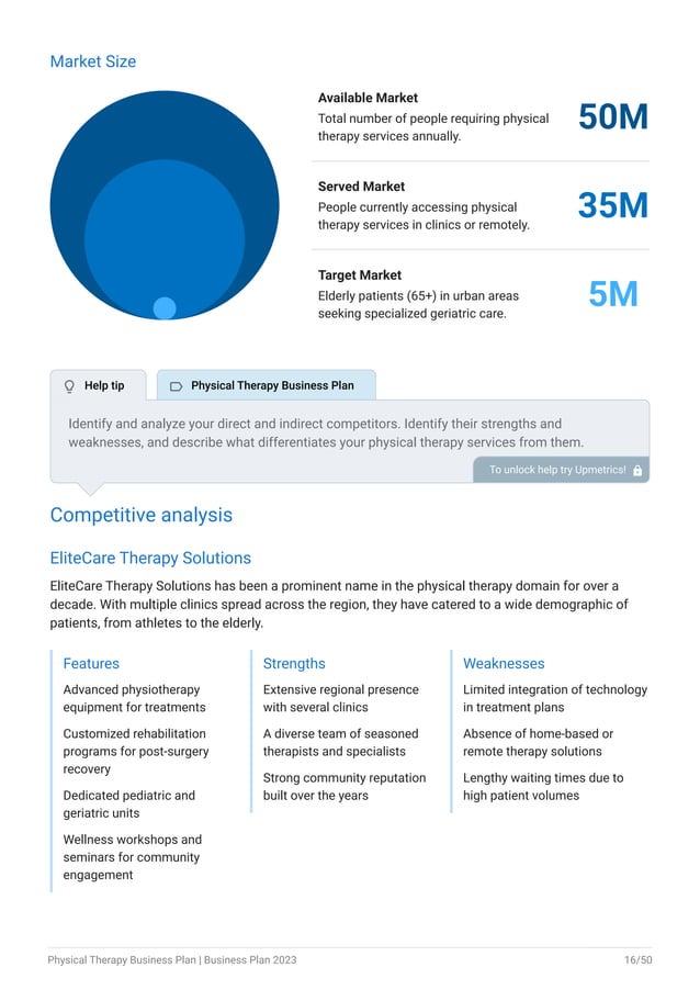 Physical Therapy Business Plan Example Pdf