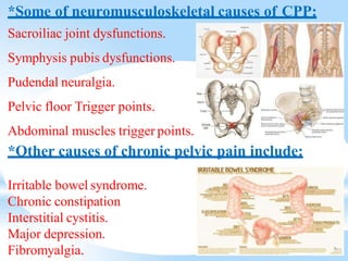 Physical therapy for chronic pelvic pain in women | PDF