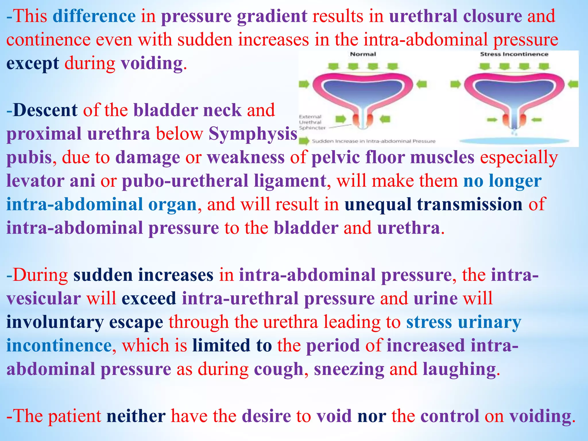Physical therapy for specific female pelvic floor related dysfunction ...