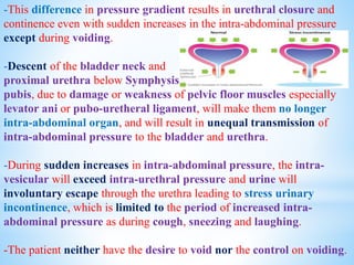 Physical therapy for specific female pelvic floor related dysfunction ...
