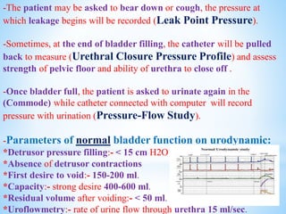 Physical therapy for specific female pelvic floor related dysfunction ...