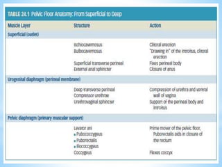Physical therapy for specific female pelvic floor related dysfunction ...